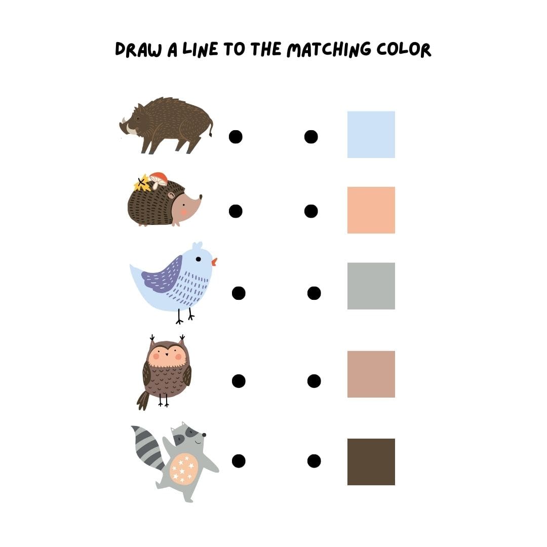 Cute Forest Activity Sheets - Sharekkna Online