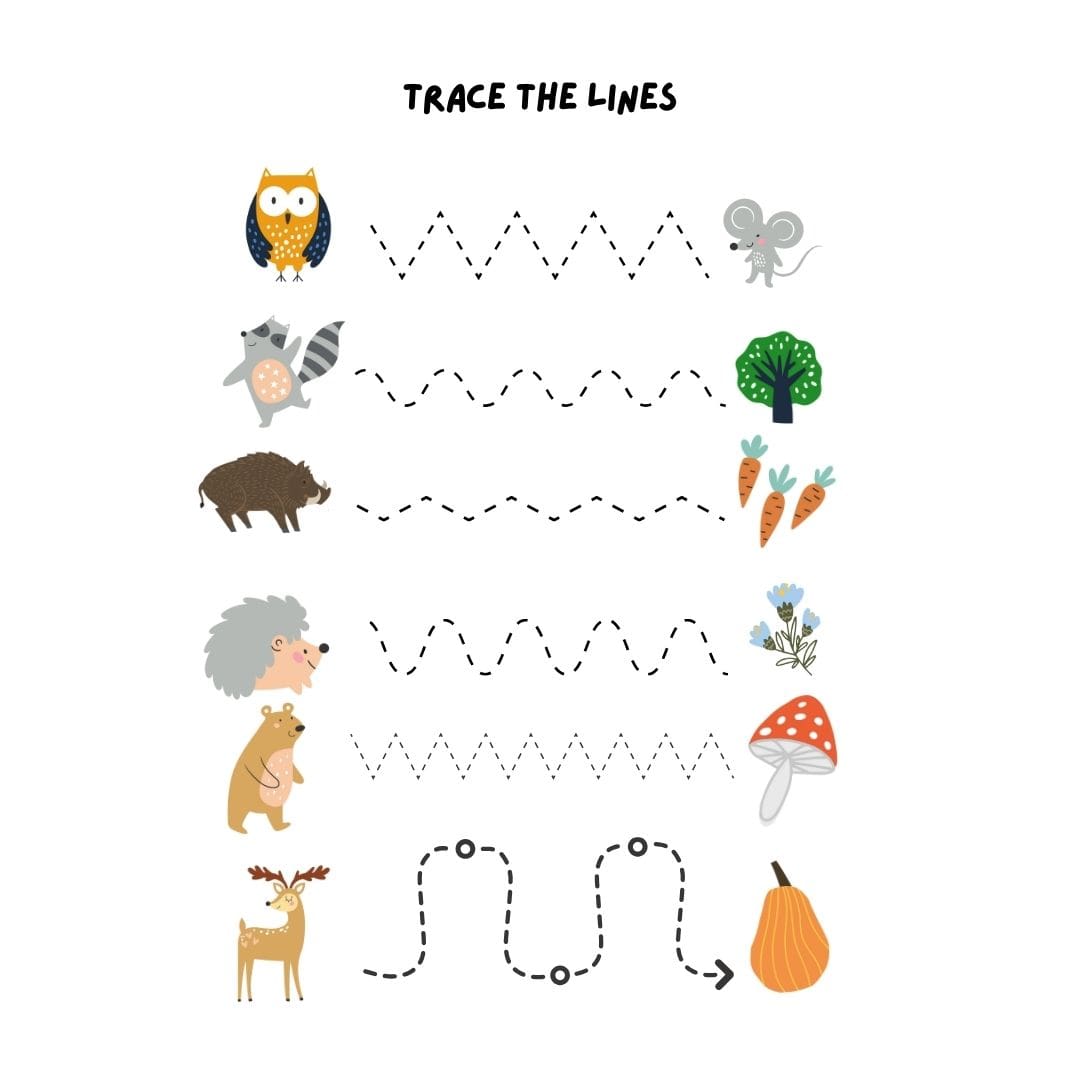 Cute Forest Activity Sheets - Sharekkna Online